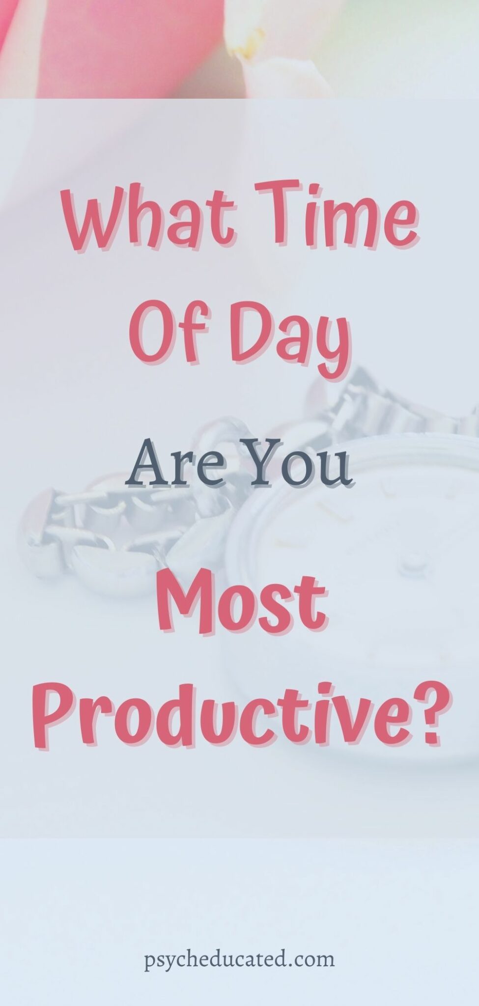 What Is The Most Productive Time Of The Day? - PsychEducated
