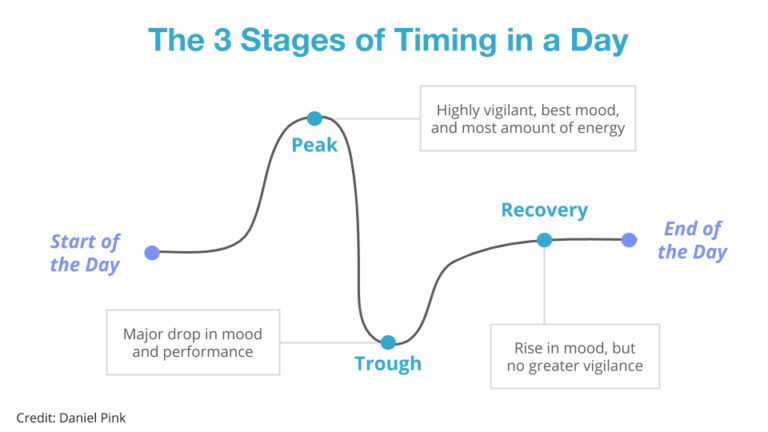 What Is The Most Productive Time Of The Day? - PsychEducated